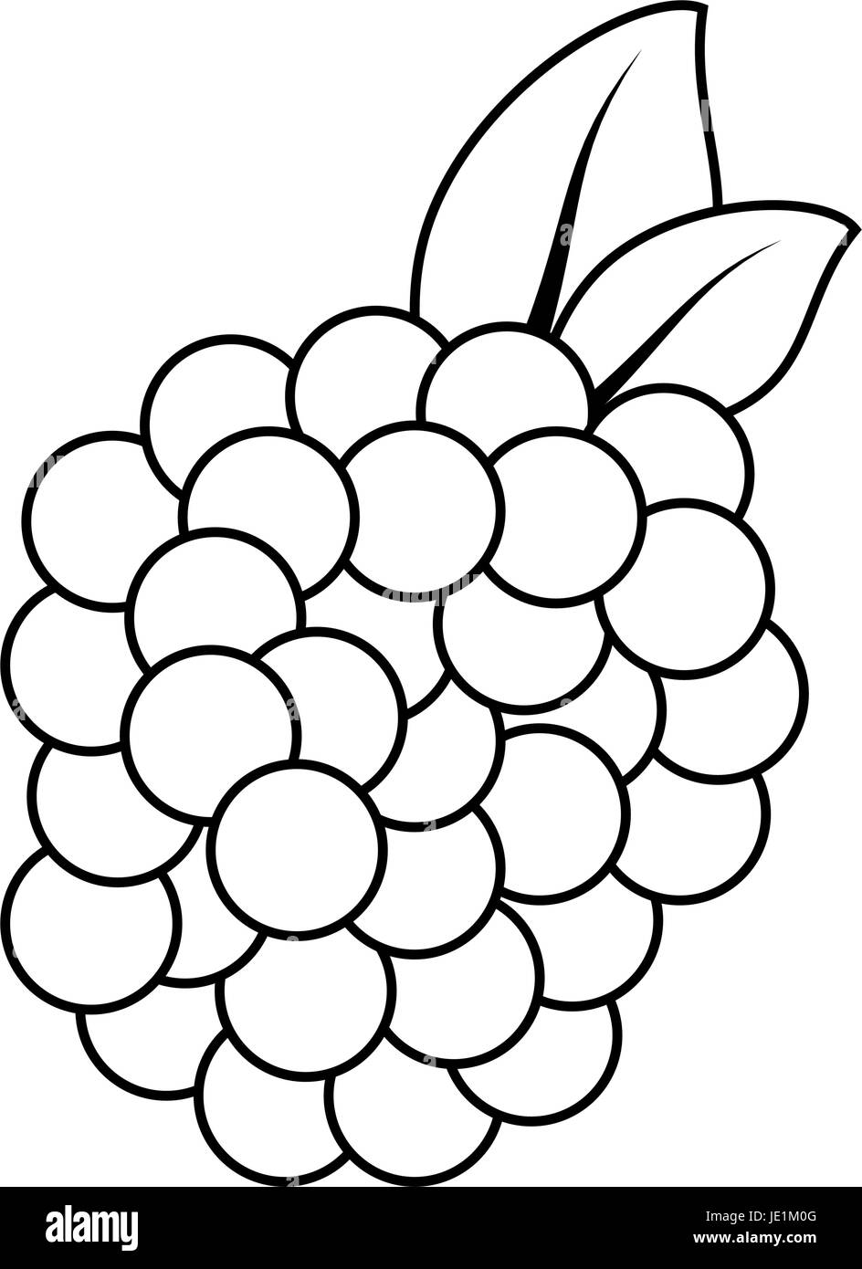 Bramble Black and White Stock Photos & Images - Alamy