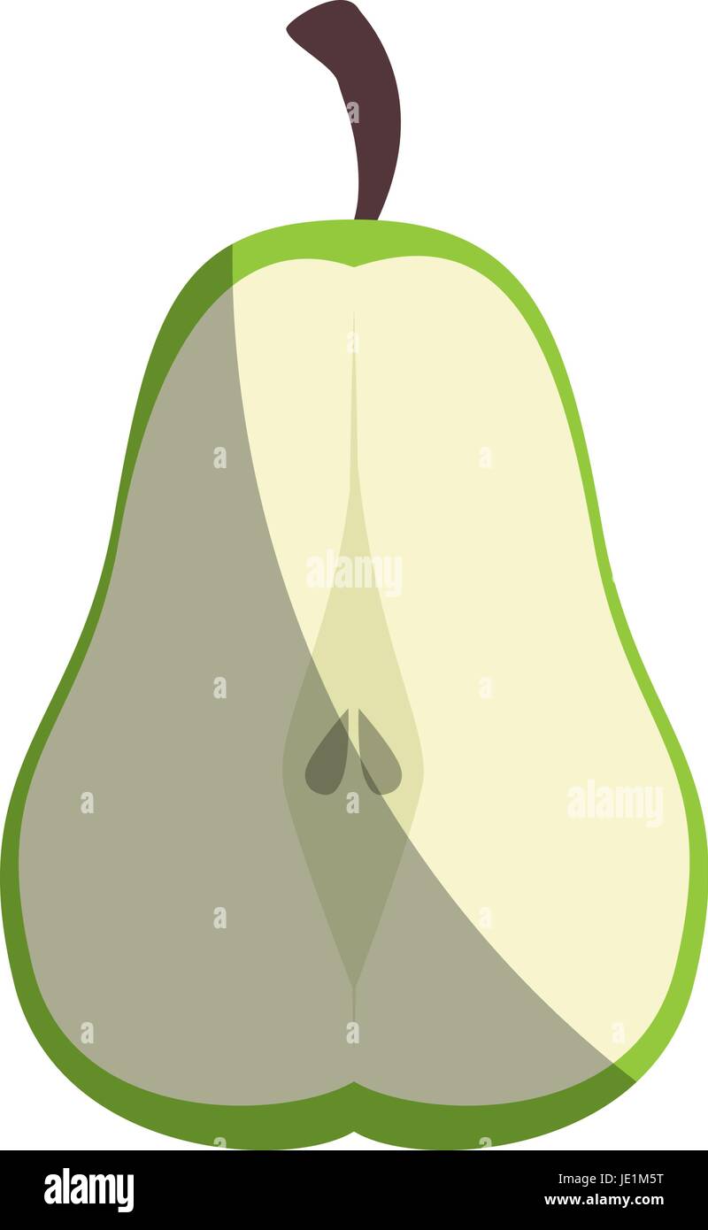 Pear cut in half vector illustration graphic design Stock Vector Image ...