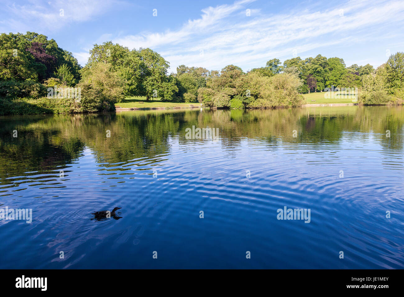 Abington Park, Northampton, U.K Stock Photo - Alamy