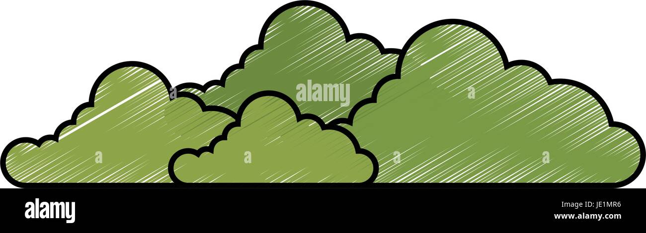 Evergreen shrub bush plant hedge design Stock Vector Images - Alamy