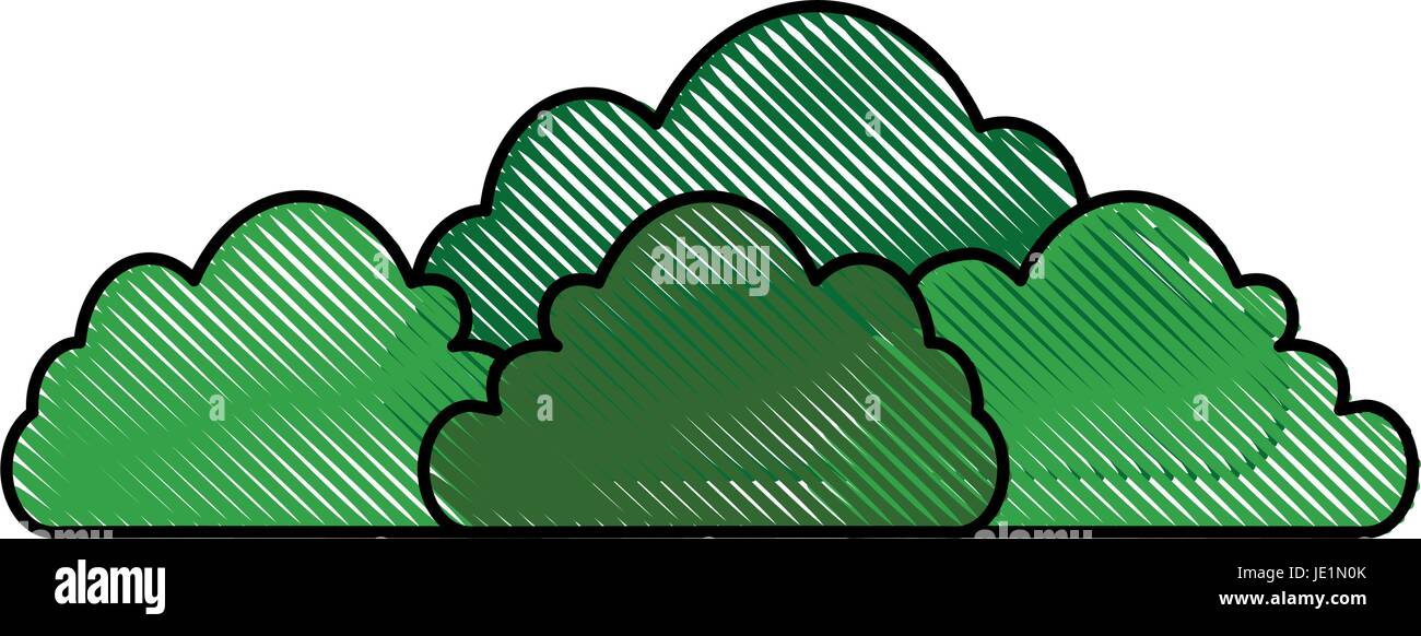 Shadow of bush branch Stock Vector Images - Alamy