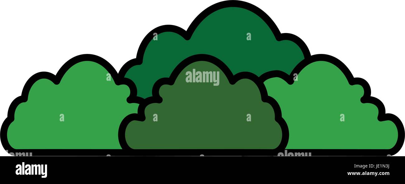 isolated cute bush Stock Vector Image & Art - Alamy