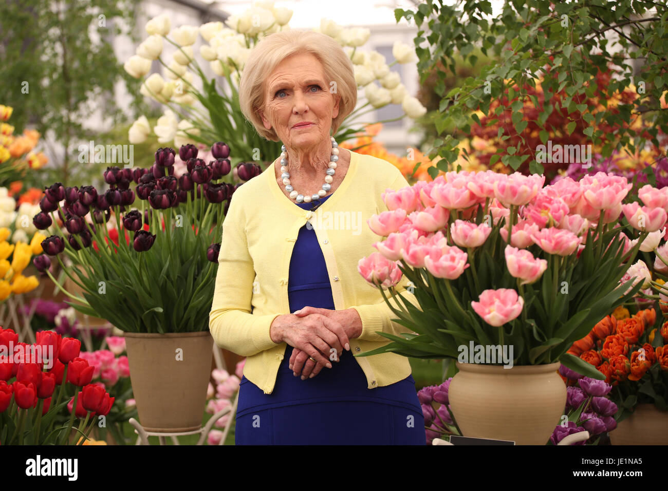 RHS Chelsea Flower Show 2017 – Press Day Featuring: Mary Berry Where ...