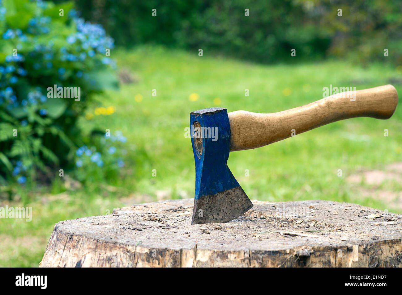 An axe thrust in a stump and a few firewood around Stock Photo - Alamy