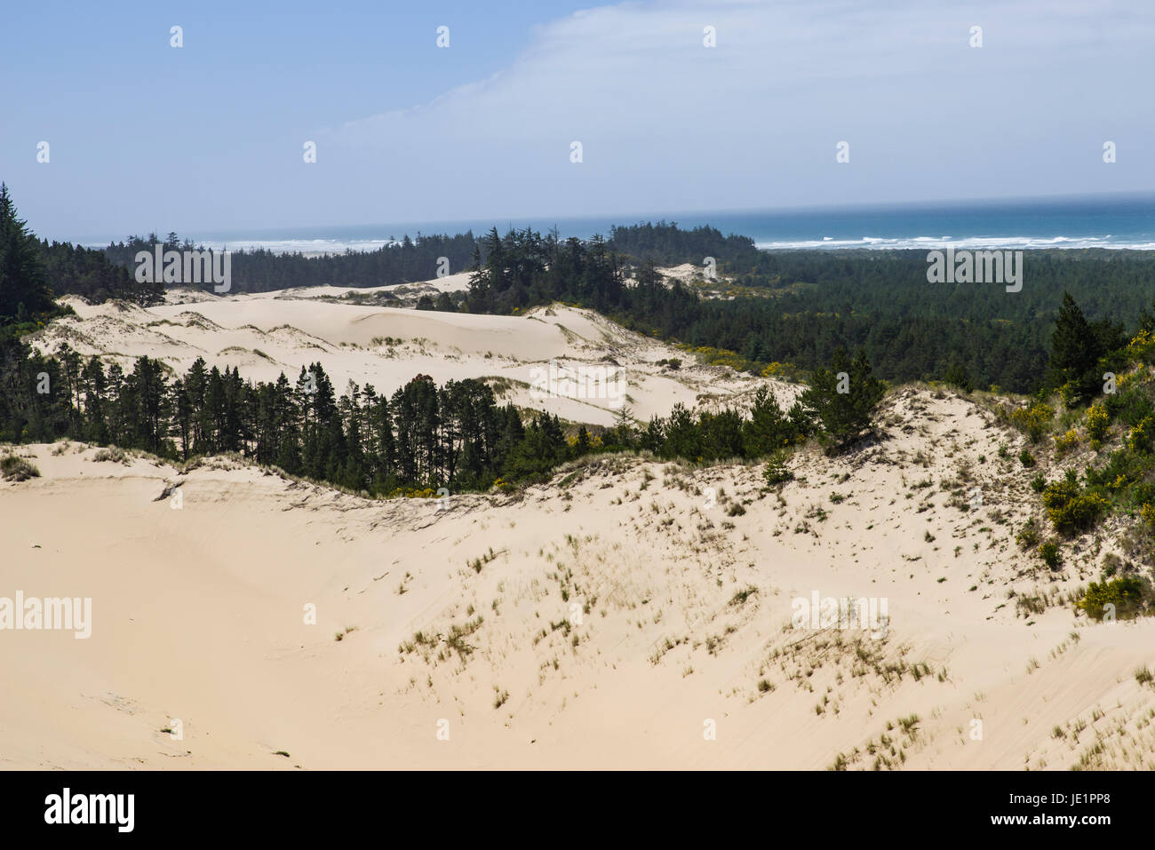 Oregon Dunes Overlook provides wooden ealkways to overlook a portion of ...