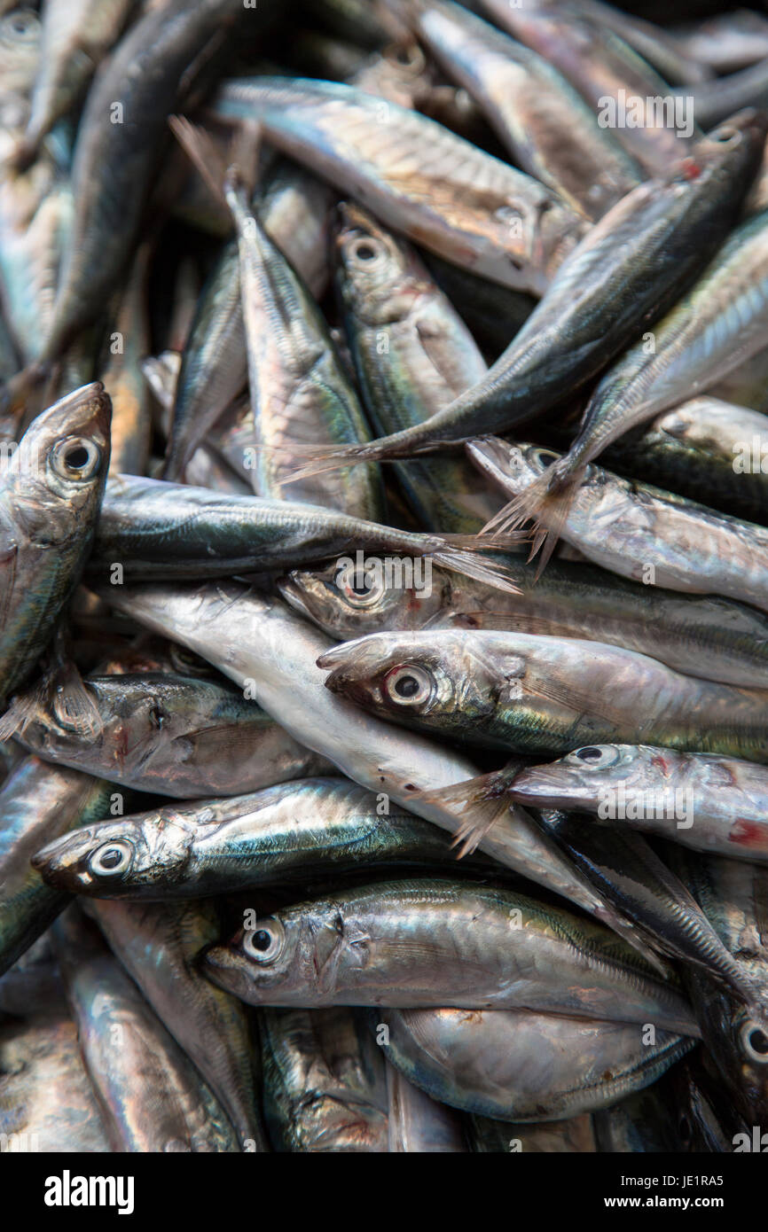 Portuguese fish hi-res stock photography and images - Alamy