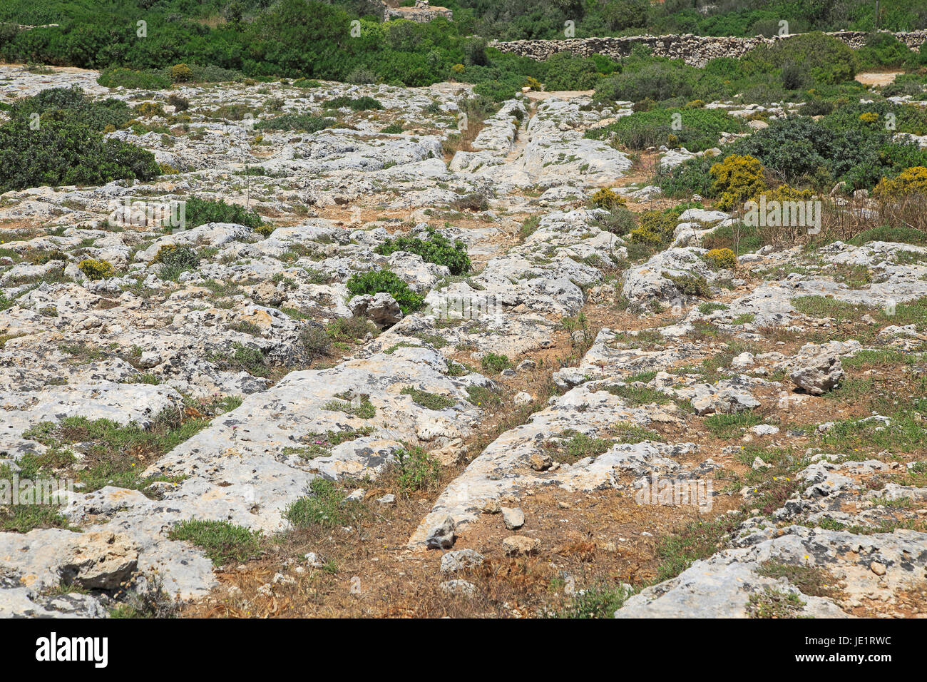 Misrah Ghar il-Kbir, Clapham Junction, prehistoric cart ruts tracks ...