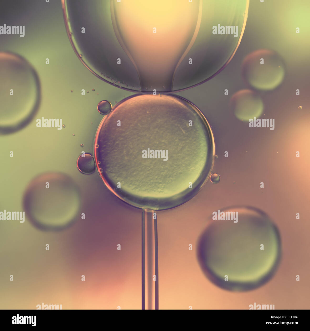 Image concept of in vitro fertilization assisted by microscope Stock ...