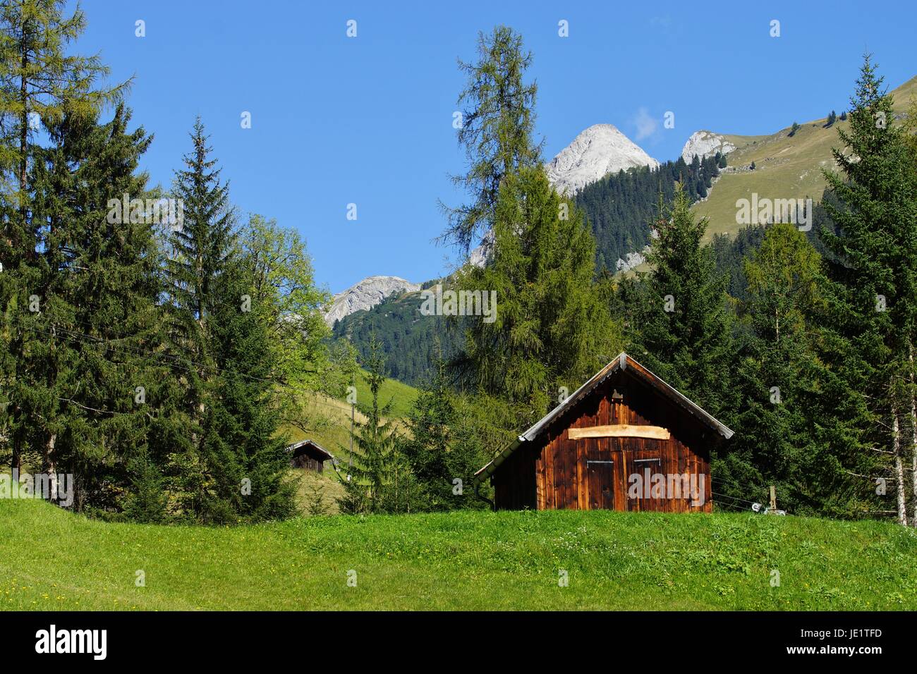 wooden house in the alps Stock Photo - Alamy