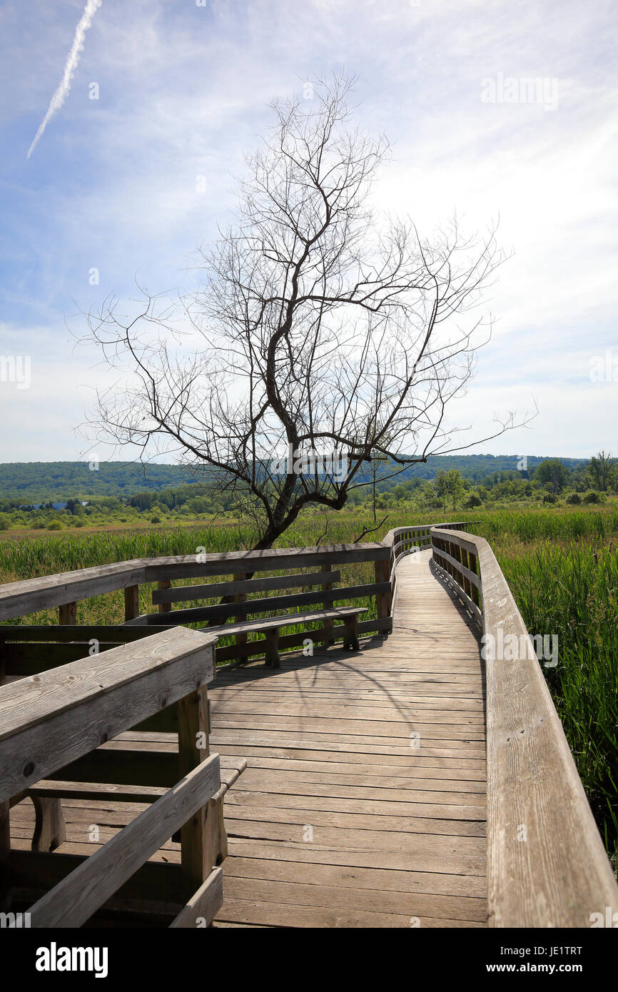 Appalachian trail bridge hi-res stock photography and images - Alamy