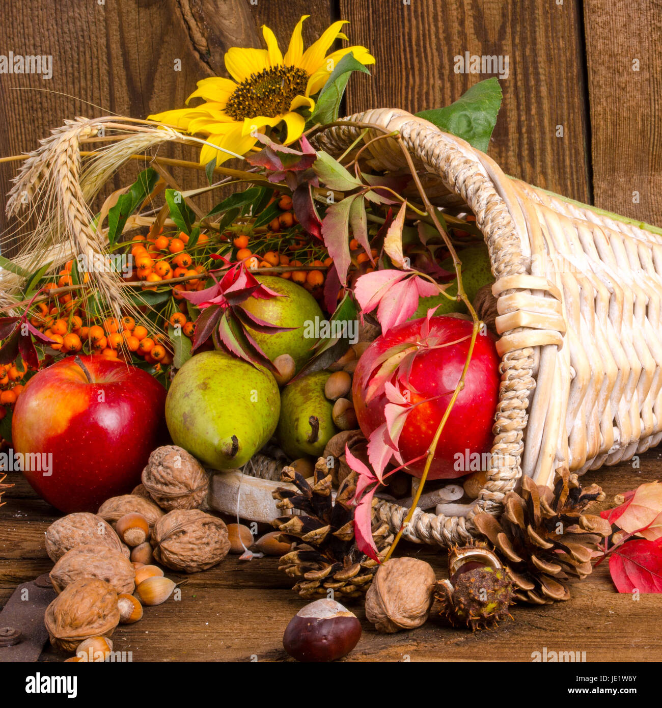 Fullhorn hi-res stock photography and images - Alamy