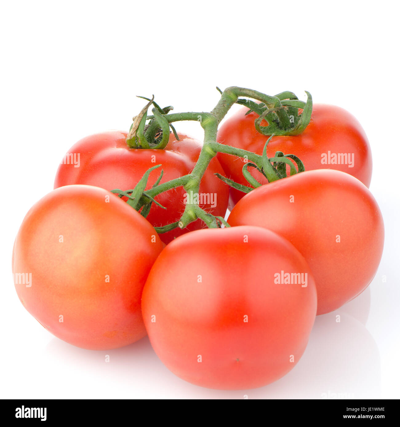 Red ripe tomato vine isolated on white background Stock Photo - Alamy