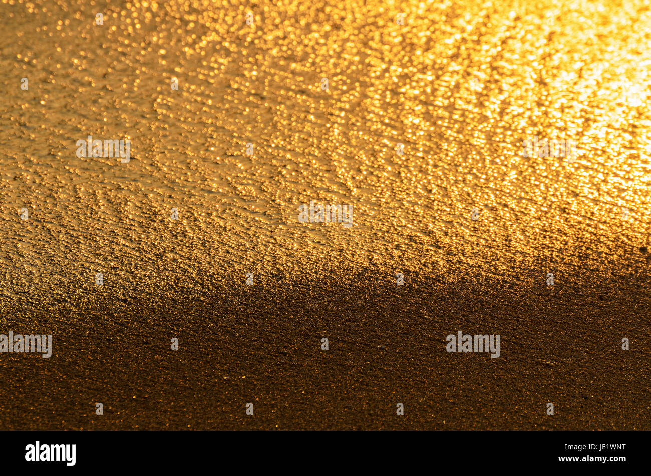 Golden light of the sun reflecting sand Stock Photo - Alamy