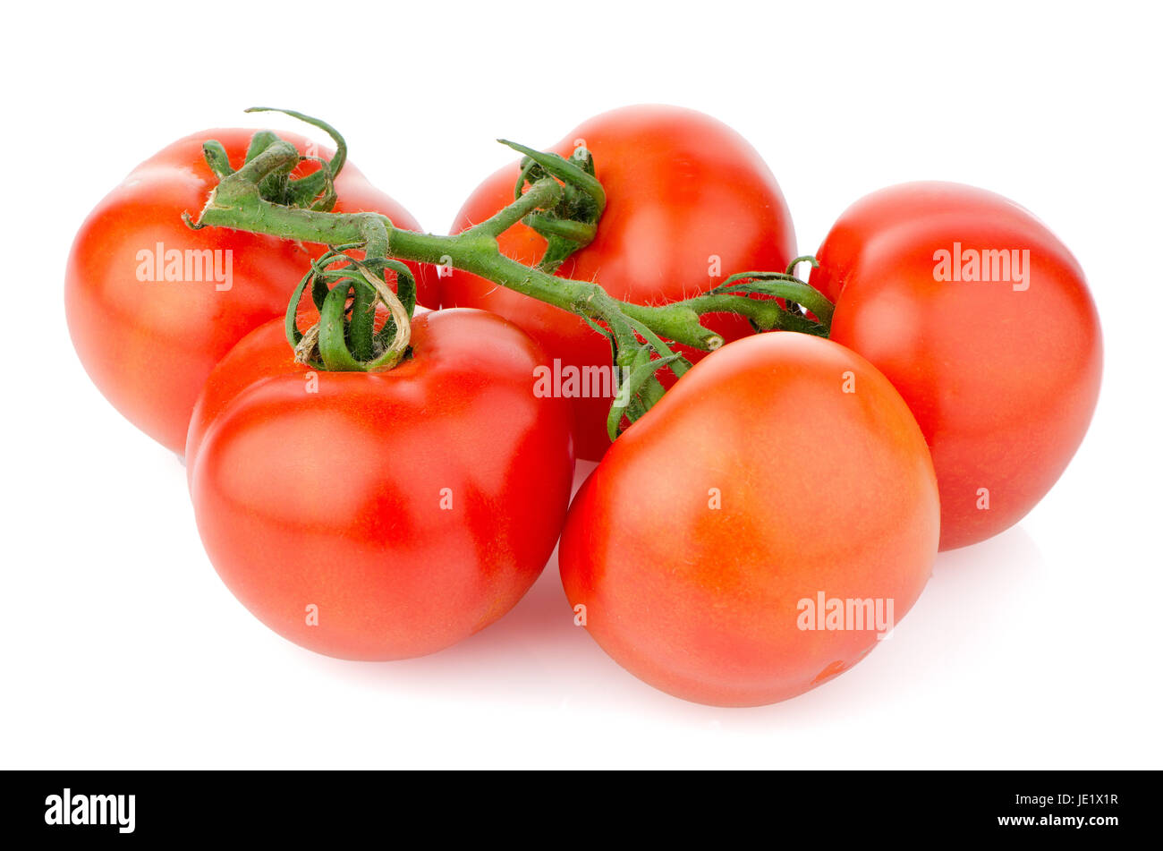 Red ripe tomato vine isolated on white background Stock Photo - Alamy