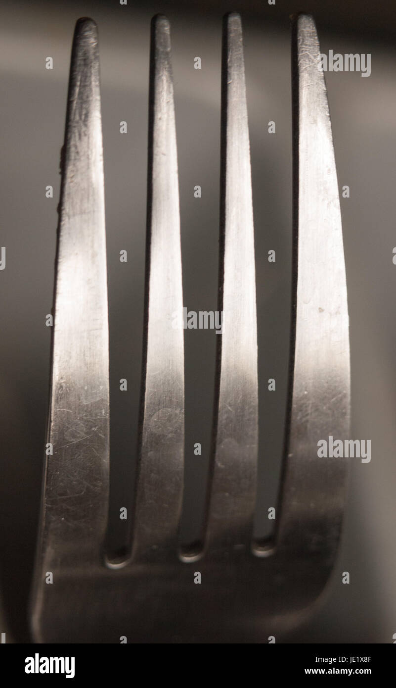 the top four prongs of a metal fork up close shining and reflecting in ...