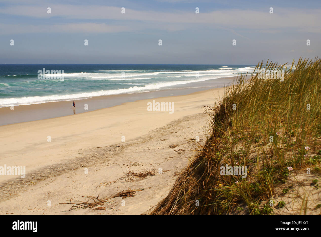 Beaches On Atlantic Coast | Vidéos de Beaches On Atlantic Coast – CASZ