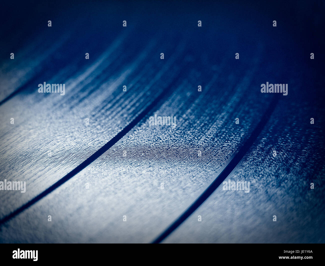 Vintage looking vinyl record music recording support Stock Photo - Alamy