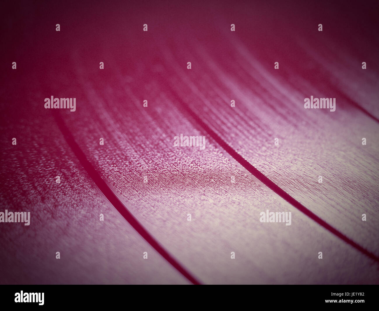 Vintage looking vinyl record music recording support Stock Photo - Alamy