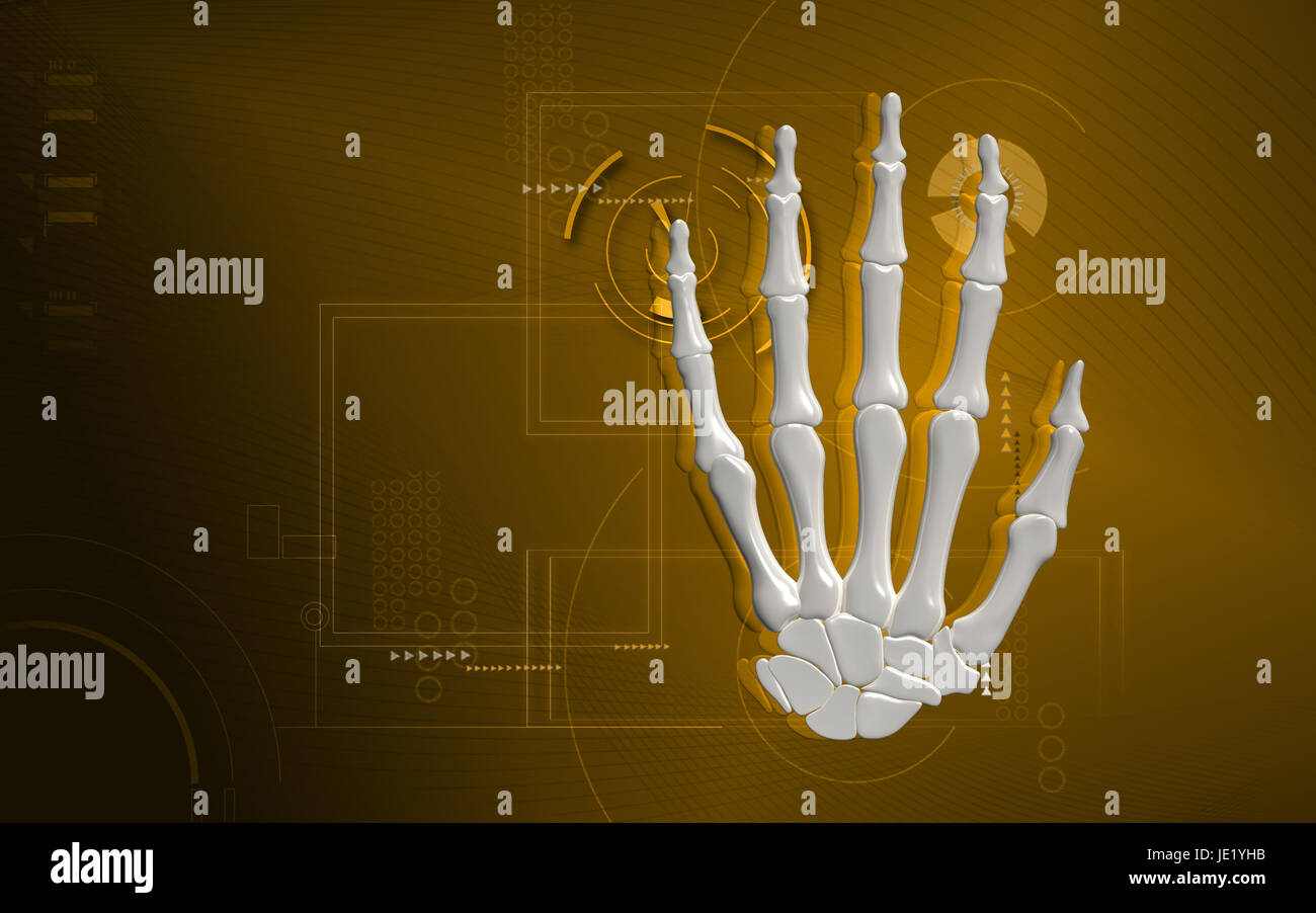 Computer graphics bone hi-res stock photography and images - Alamy