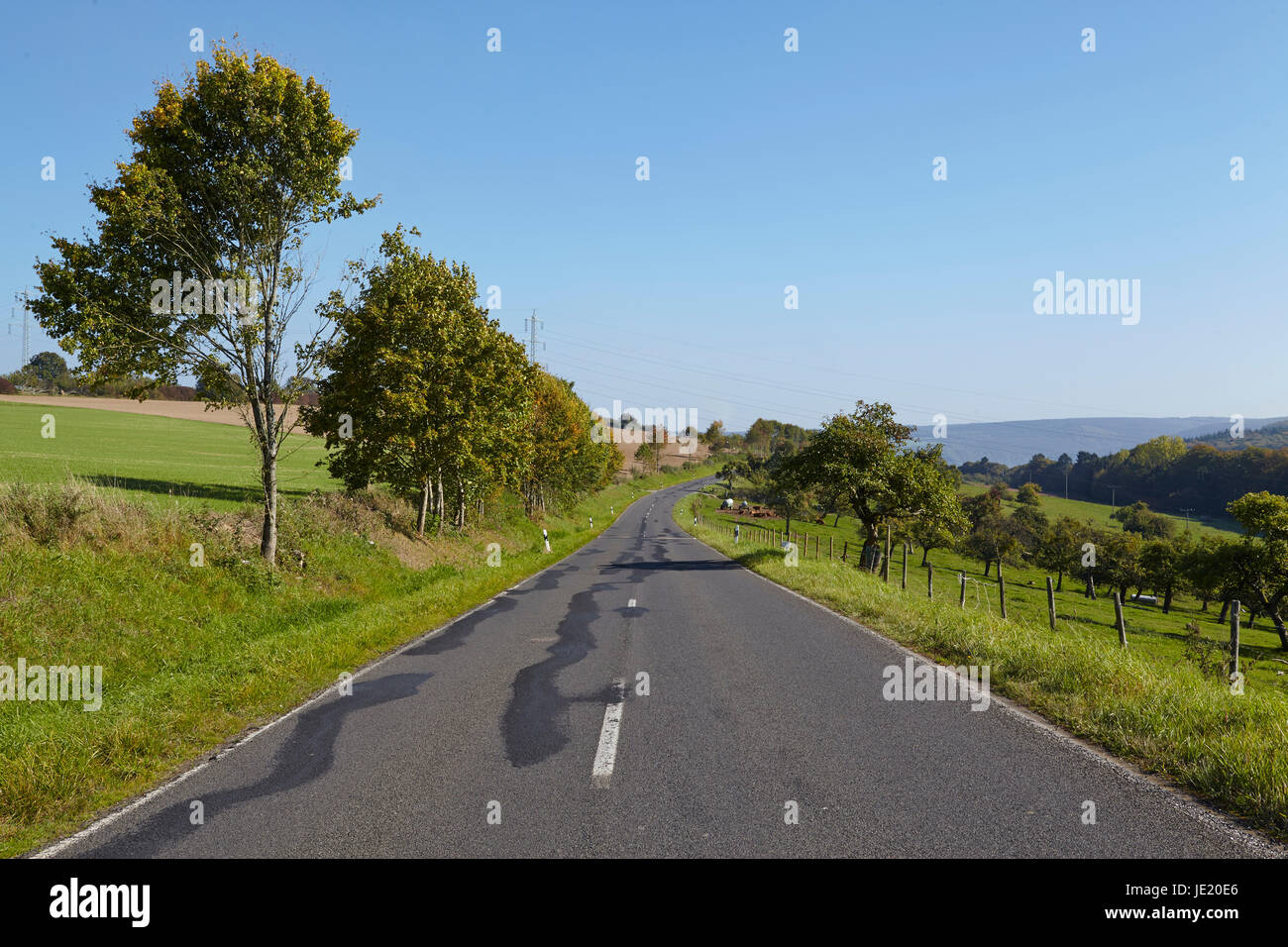 A landscape with a road, trees and grassland taken by fine weather with ...