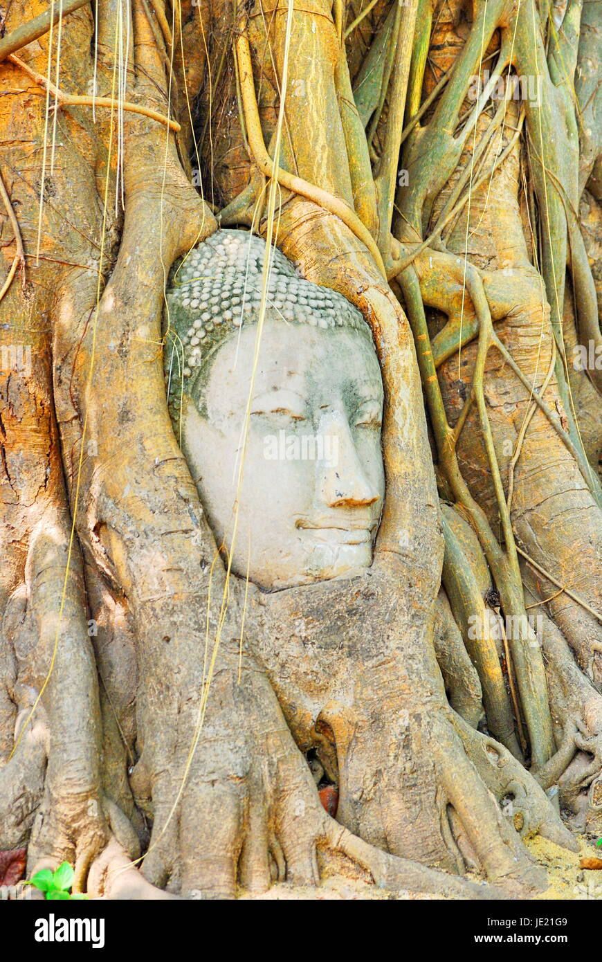 Ayuthaya landmarks hi-res stock photography and images - Alamy