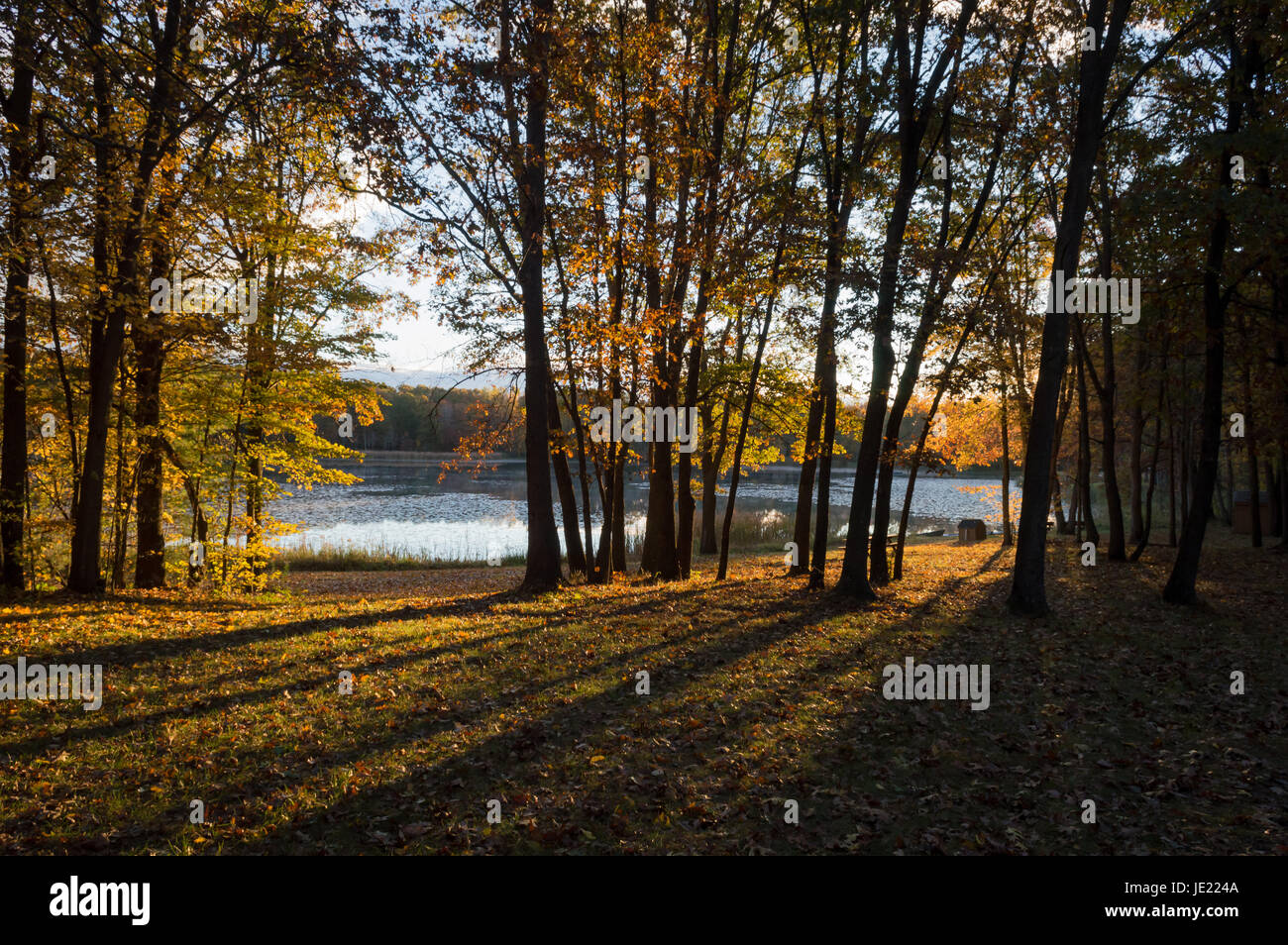 Shadows from the sunrise Stock Photo - Alamy