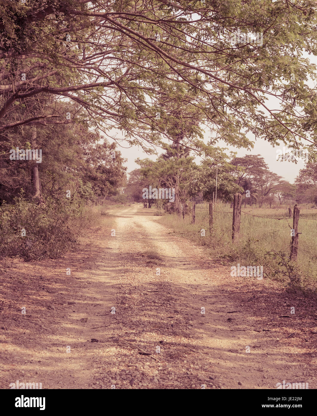 Farm road in retro style color Stock Photo - Alamy
