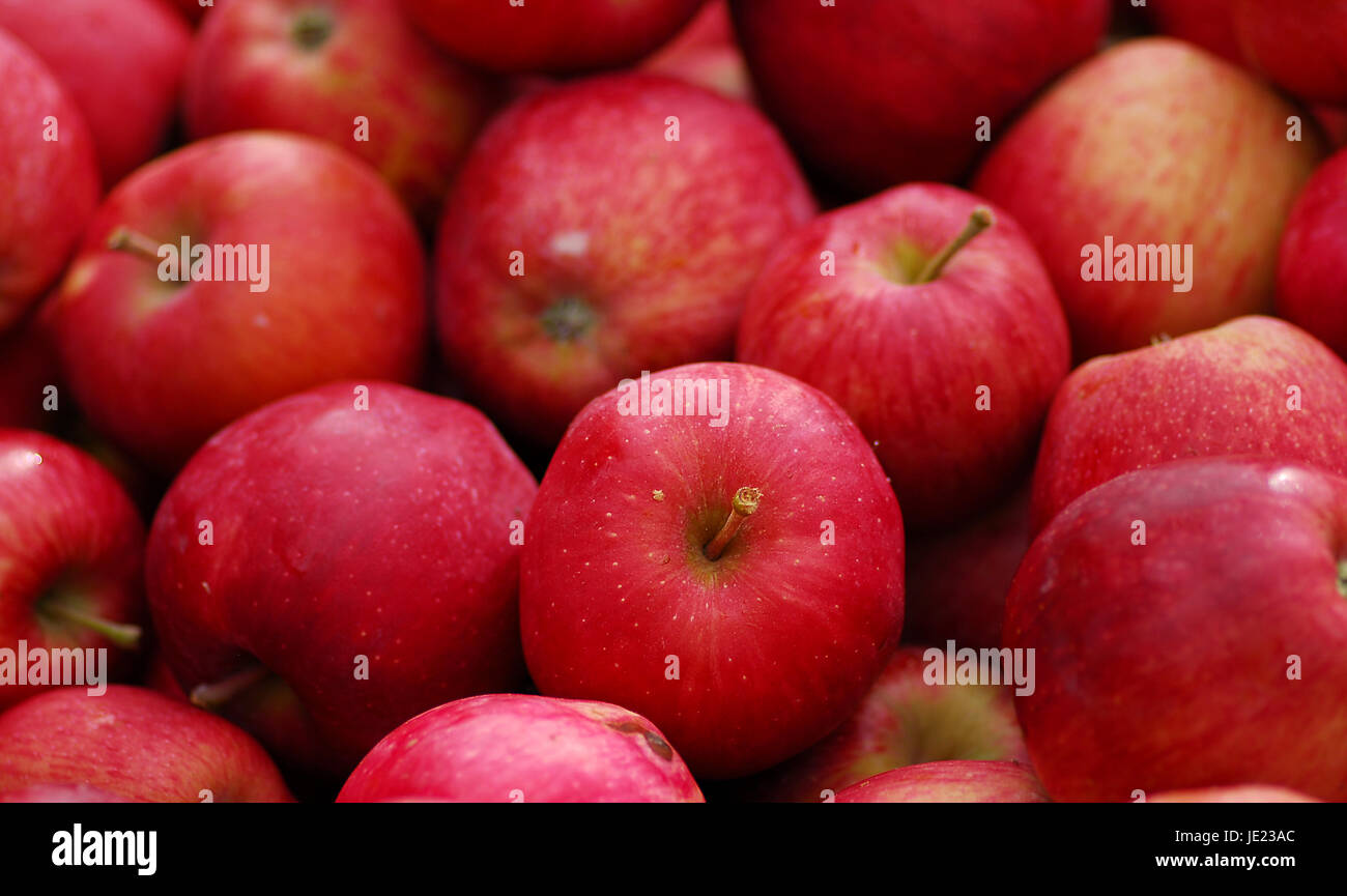 cluster of farm fresh red delicious apple fruit Stock Photo - Alamy