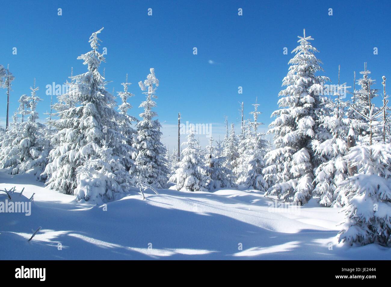 winter dream 2 Stock Photo - Alamy