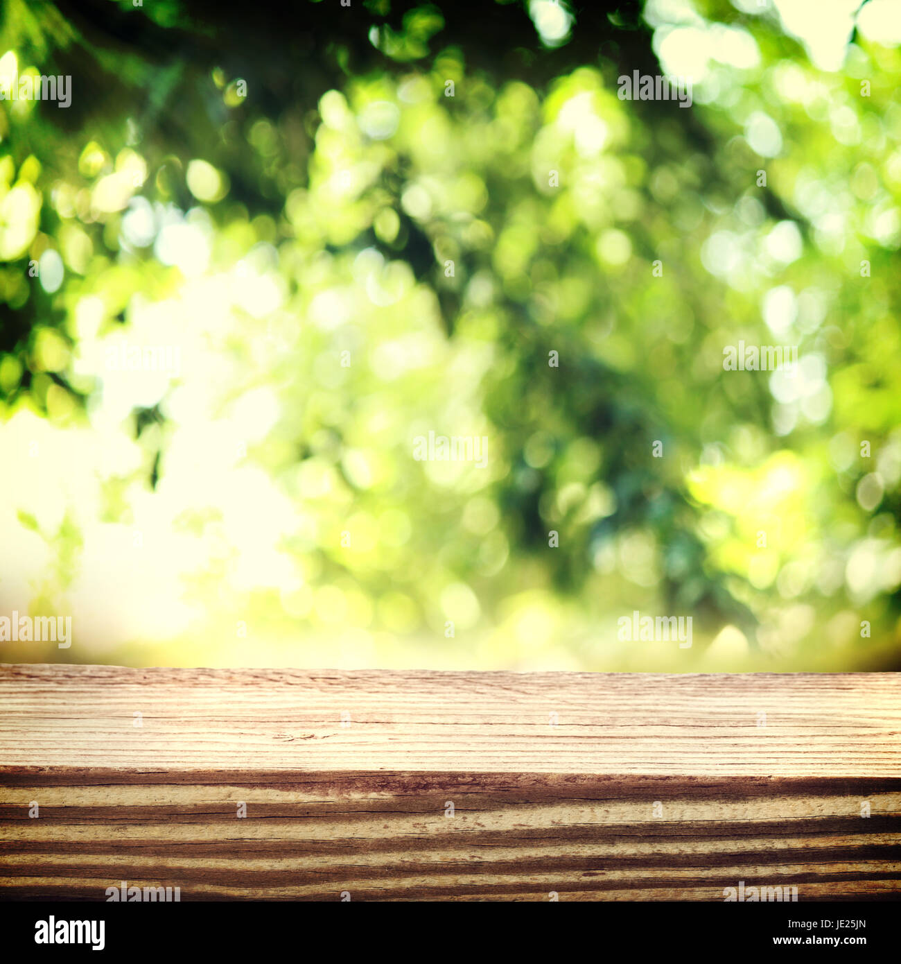 Rustic wooden boards in green leaves over shiny lights background Stock ...