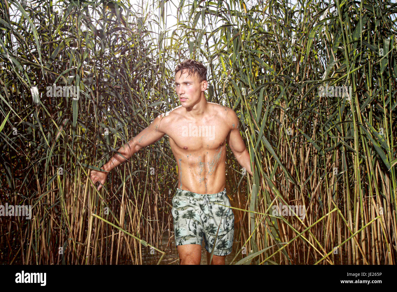 man in the reeds Stock Photo - Alamy