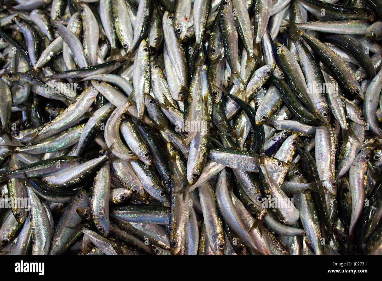 Background of fresh raw sardines close up shot Stock Photo - Alamy