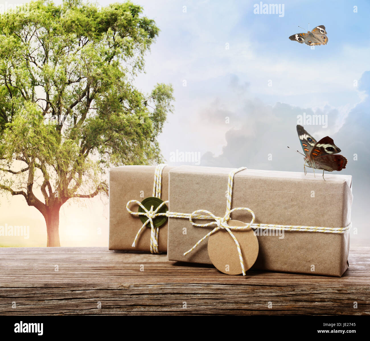 Boxes butterflies hi-res stock photography and images - Alamy