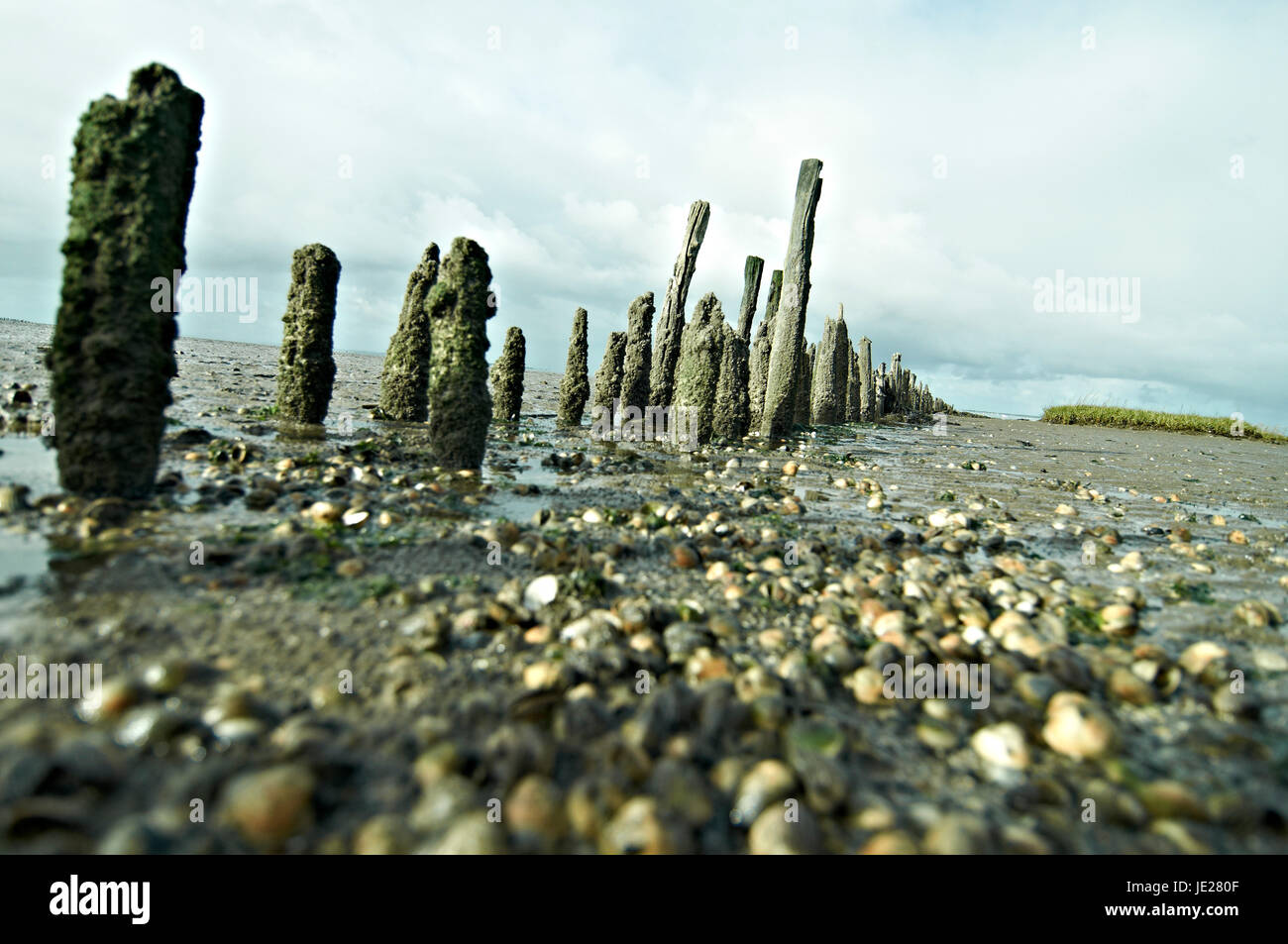 salt water sea Stock Photo - Alamy