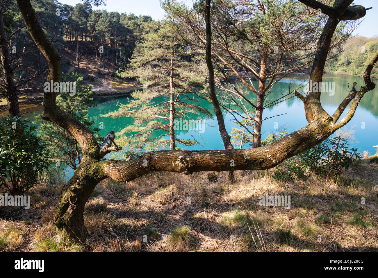 Beautiful landscape image of old clay pit quarry lake with unusual ...