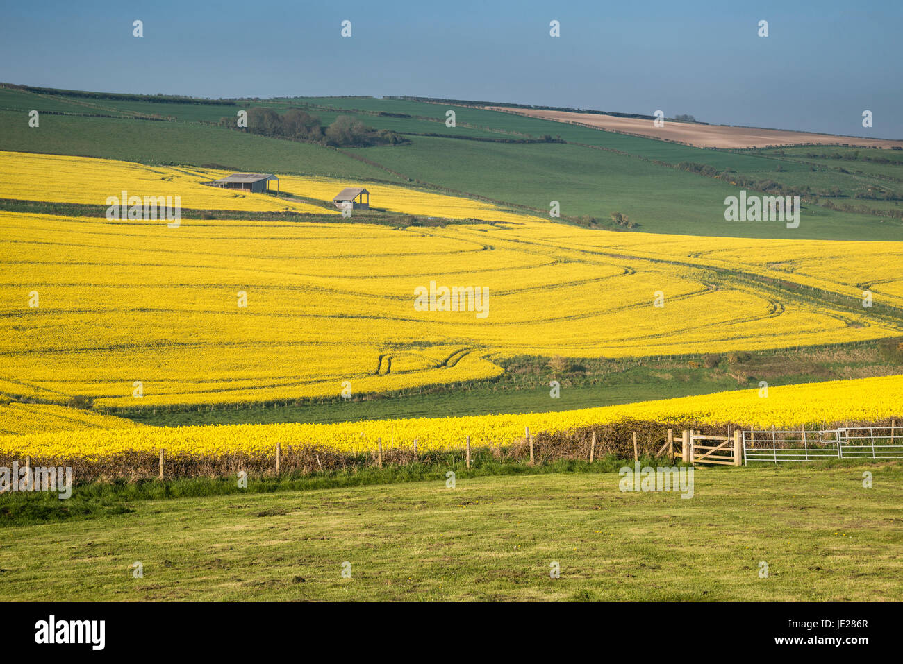 Beautiful bright landscape hi-res stock photography and images - Alamy