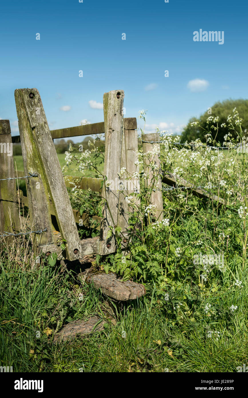 Beautiful English countryside landscape in idyllic sunshine conditions ...