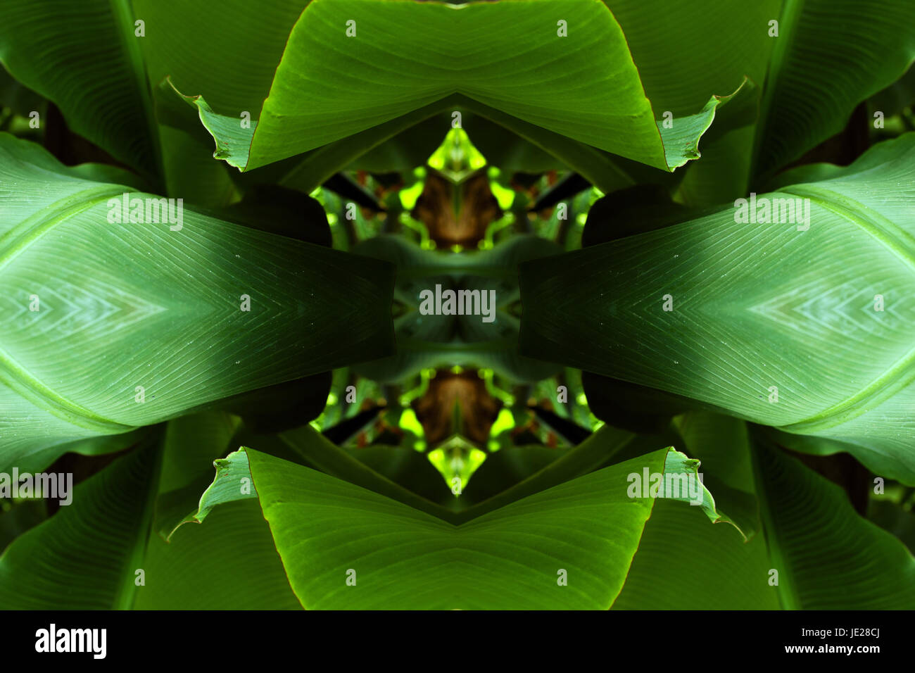 botanical garden / botanic garden close-up green Stock Photo - Alamy