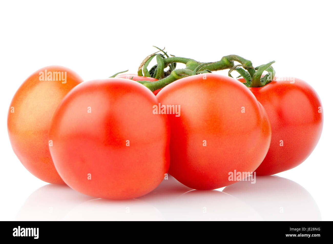 Red ripe tomato vine isolated on white background Stock Photo - Alamy