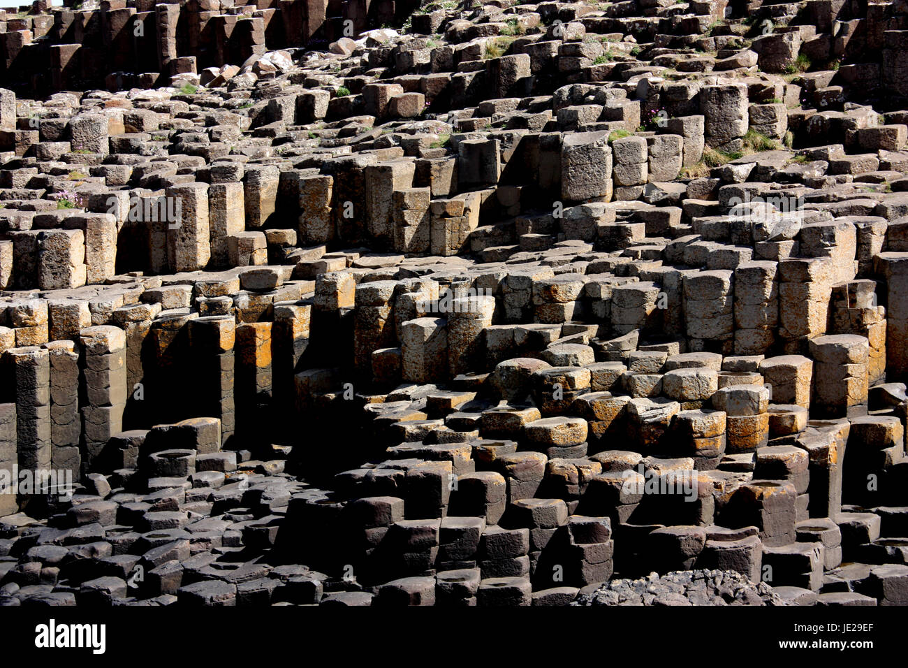 Giant's Causeway - basalt columns Stock Photo - Alamy