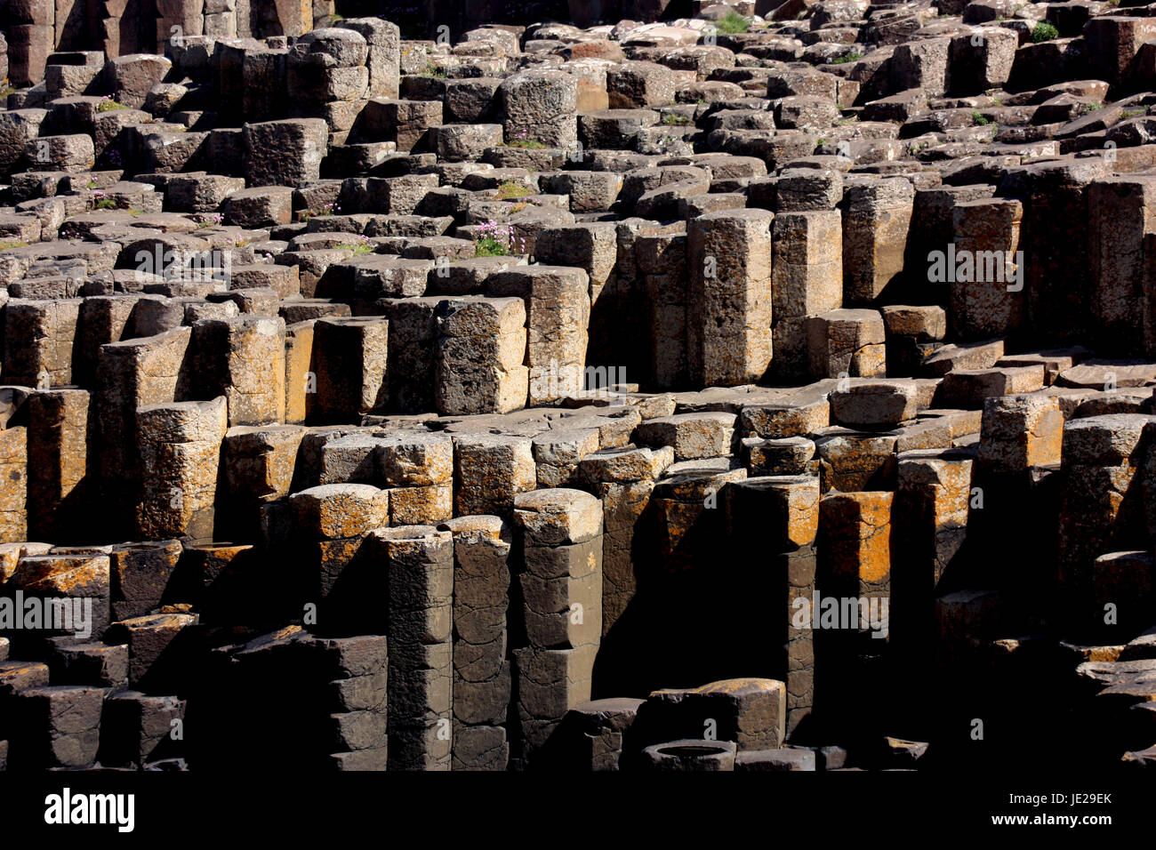 Giant's Causeway - Basalt Columns Stock Photo - Alamy