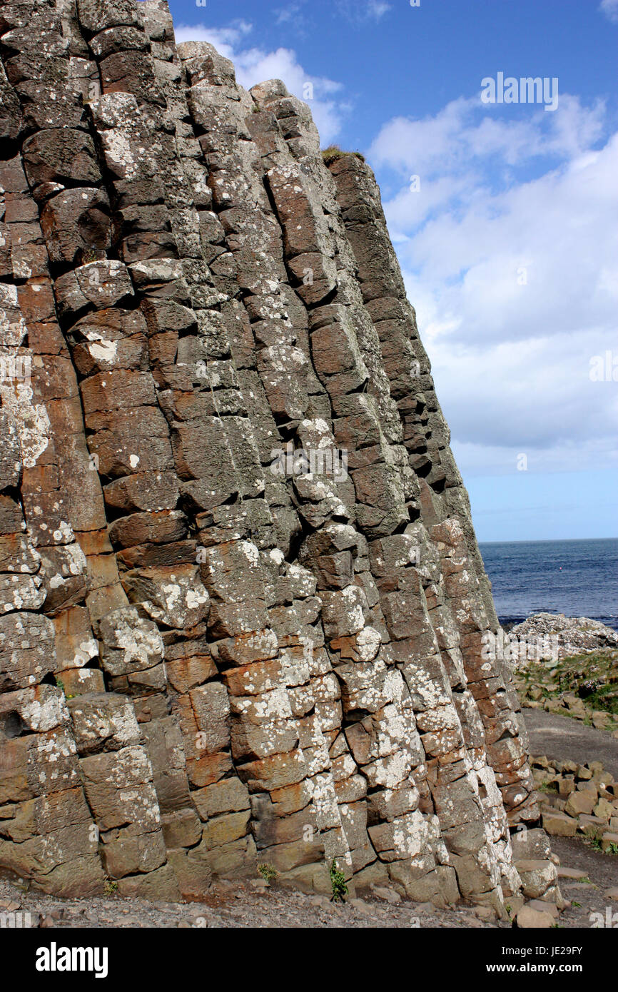 Wall of basalt columns at the Giant's Causeway Stock Photo - Alamy