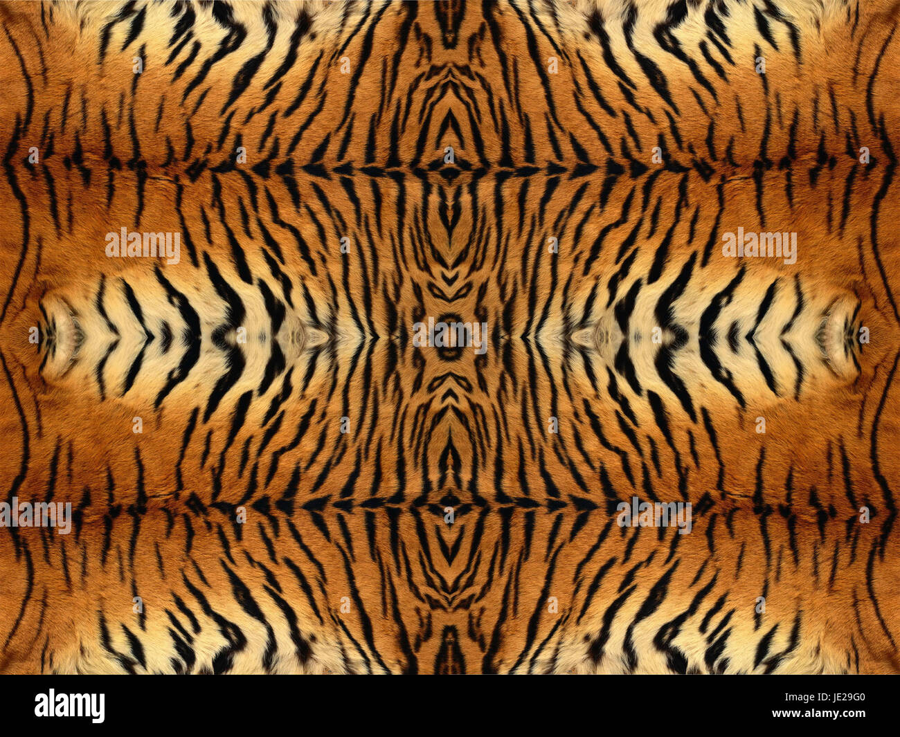 Tiger fur pattern hi-res stock photography and images - Alamy
