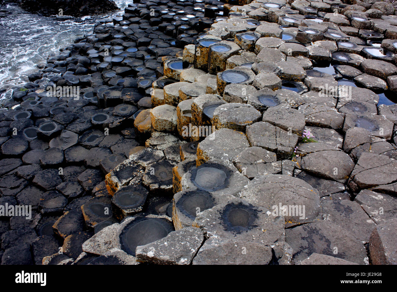 Basalt columns at the Giant's Causeway Stock Photo - Alamy