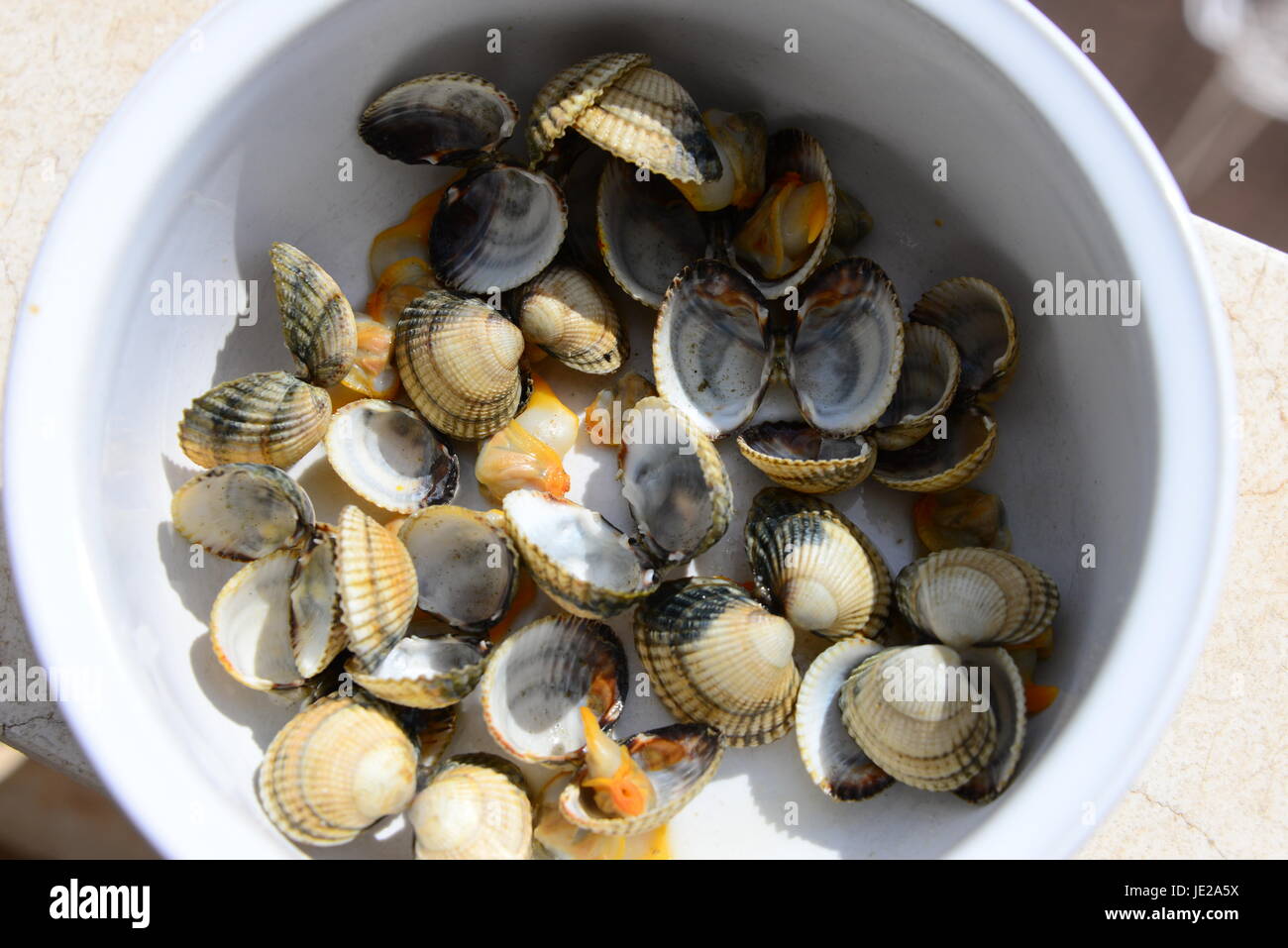 cockles - spain Stock Photo - Alamy