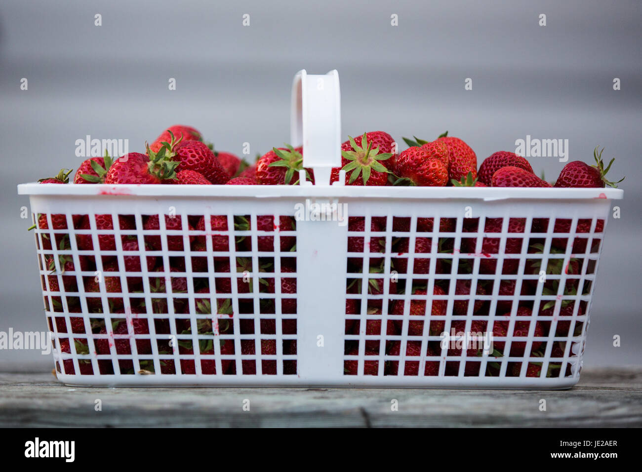 Fresh Canadian strawberries pictured in Kingston, Ont., on June 20 ...