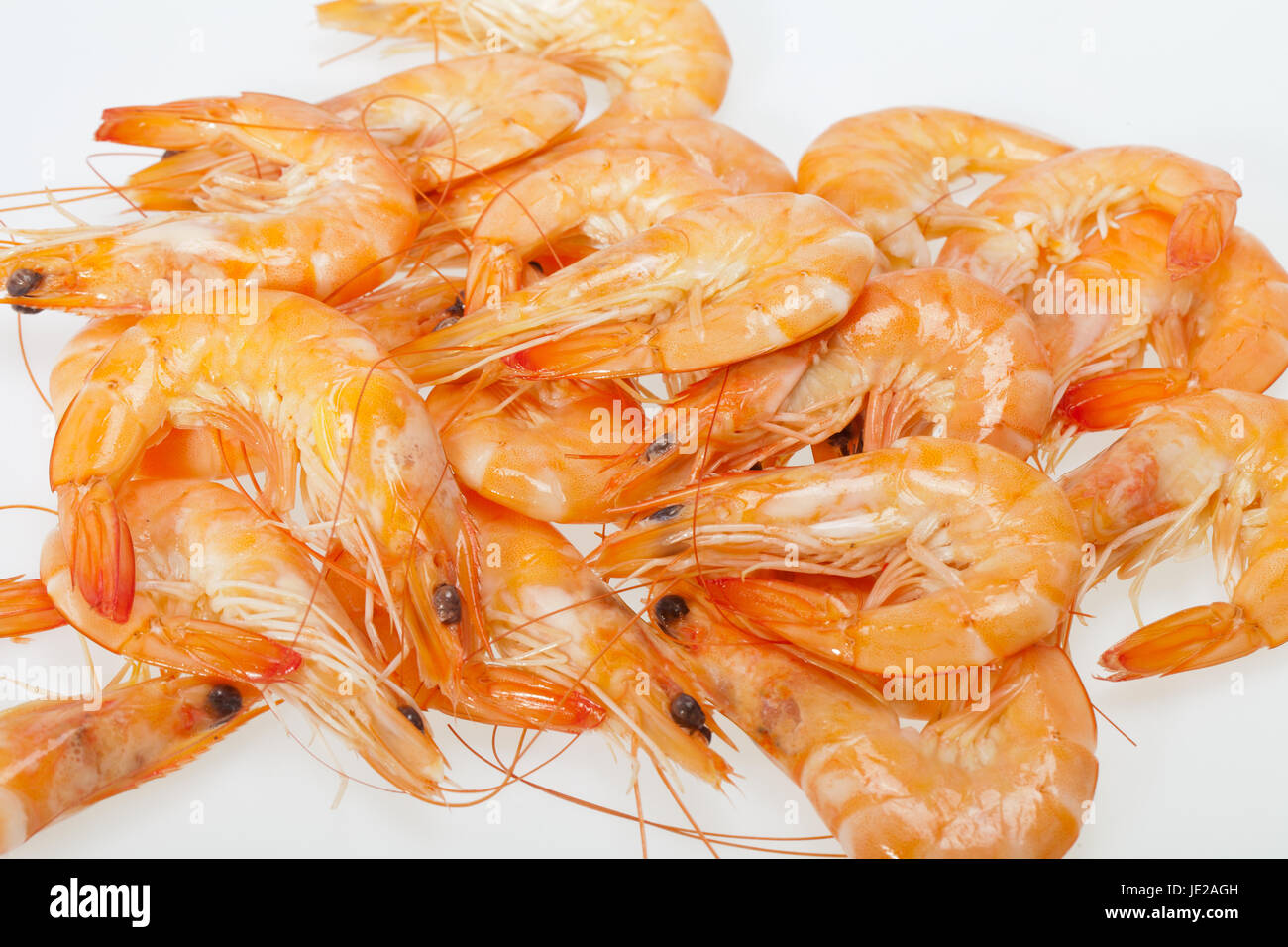 fresh shrimp isolated on a white background Stock Photo - Alamy