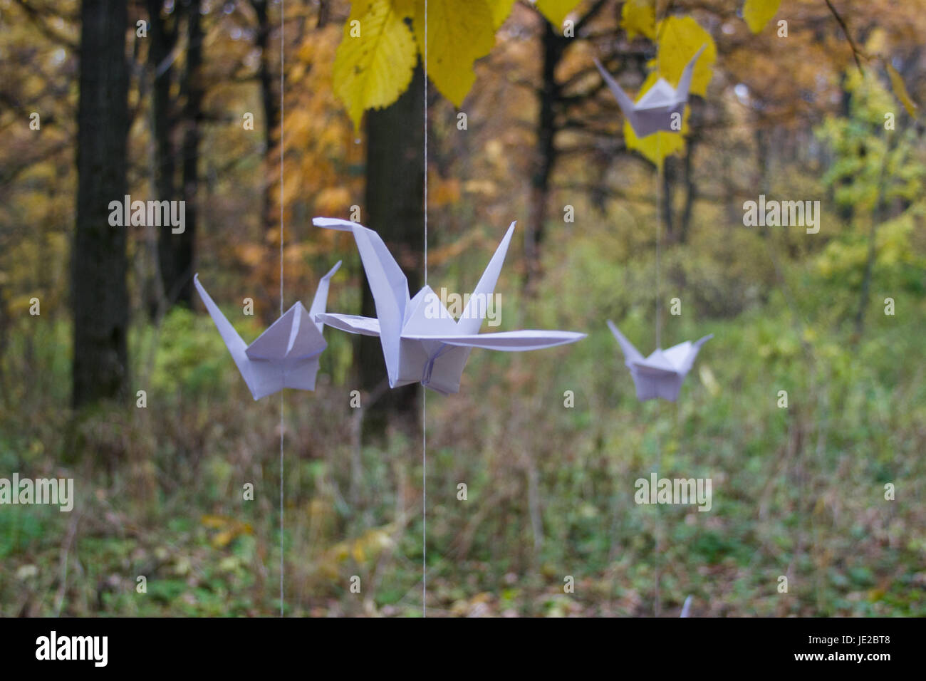 Paper crane in autumn Park. Origami tree at the Botanical garden ...