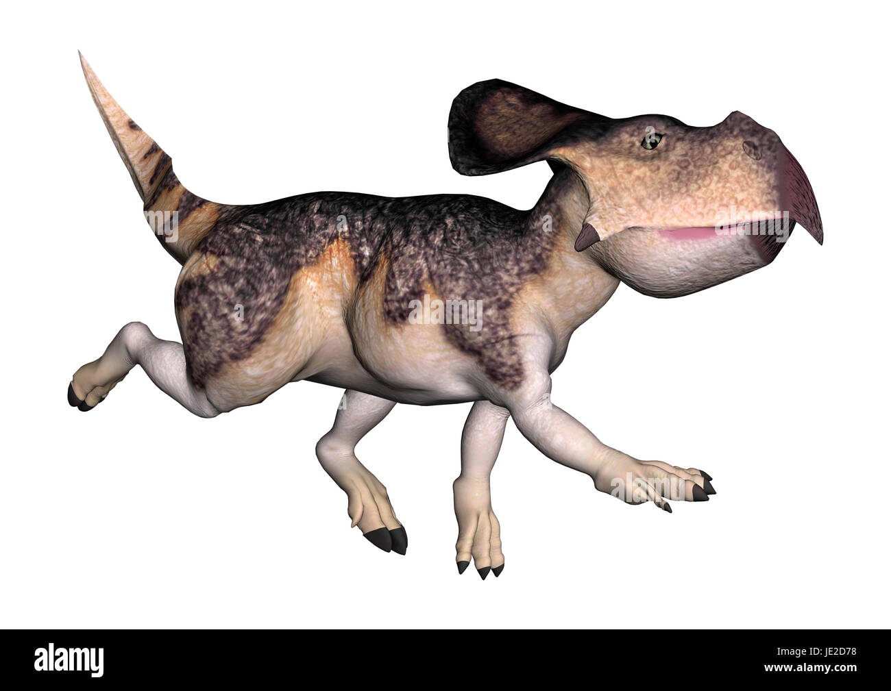 3D digital render of a running dinosaur protoceratops isolated on white ...