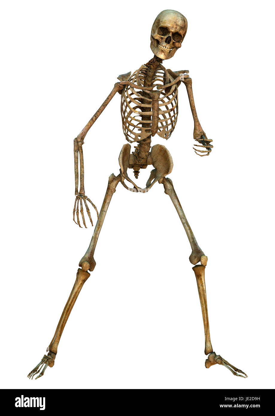 3D digital render of an old human skeleton isolated on white background ...